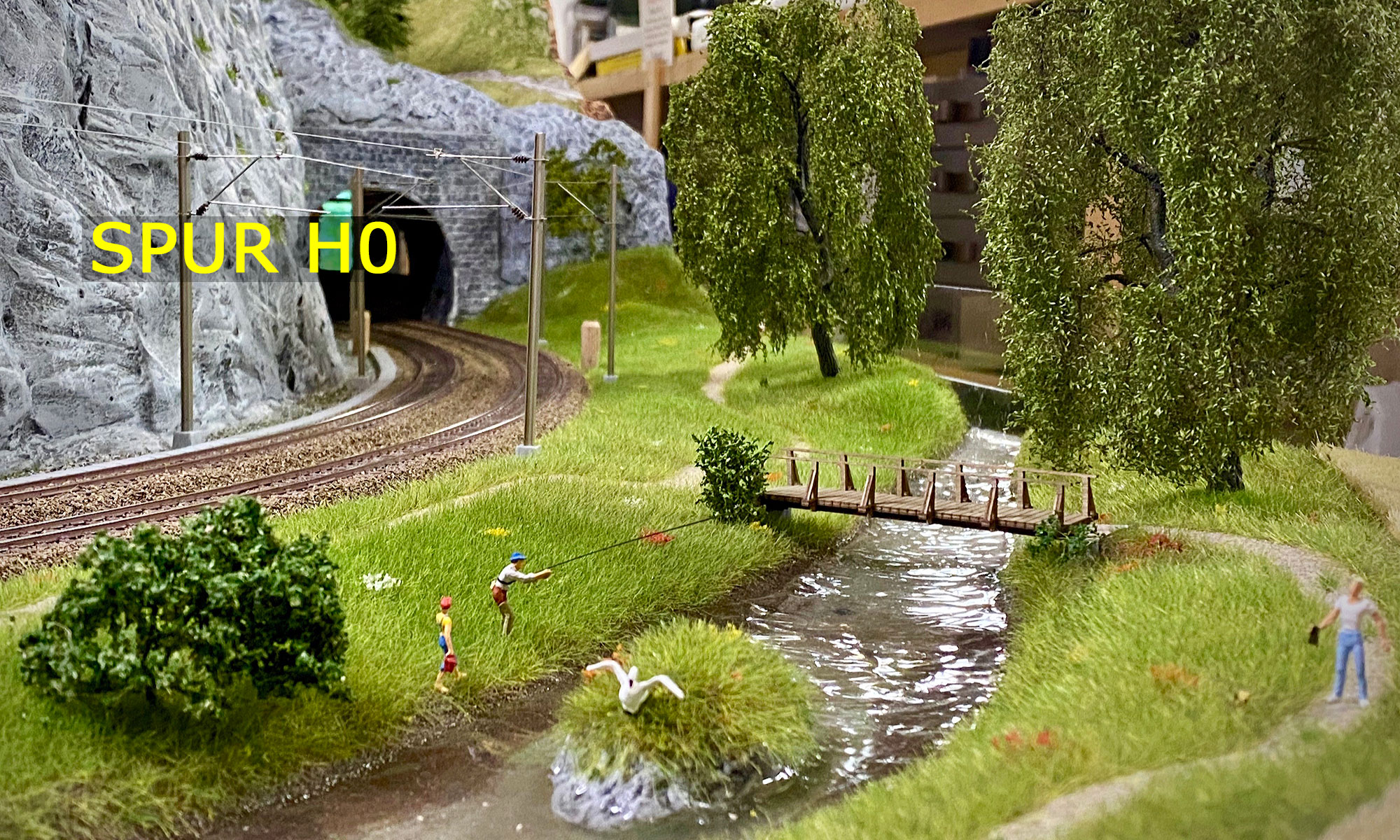 Spur H0/H0m - Modelleisenbahnklub Schaffhausen